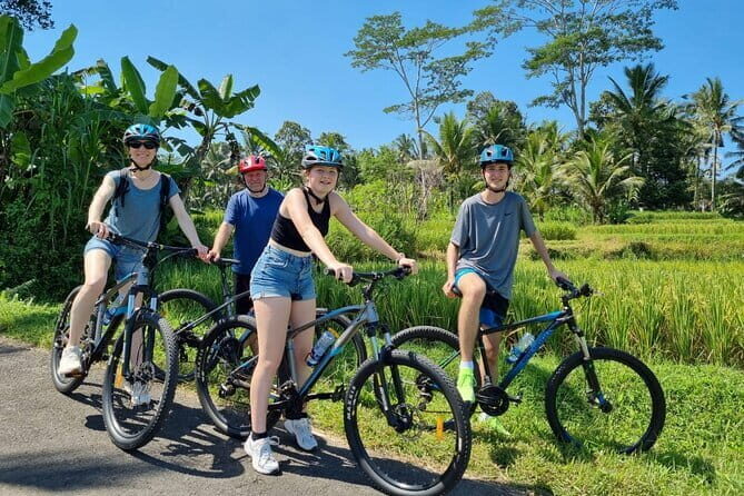 Kintamani to Ubud Downhill Bike Tour with Lunch - Who Might Want to Consider Alternatives?
