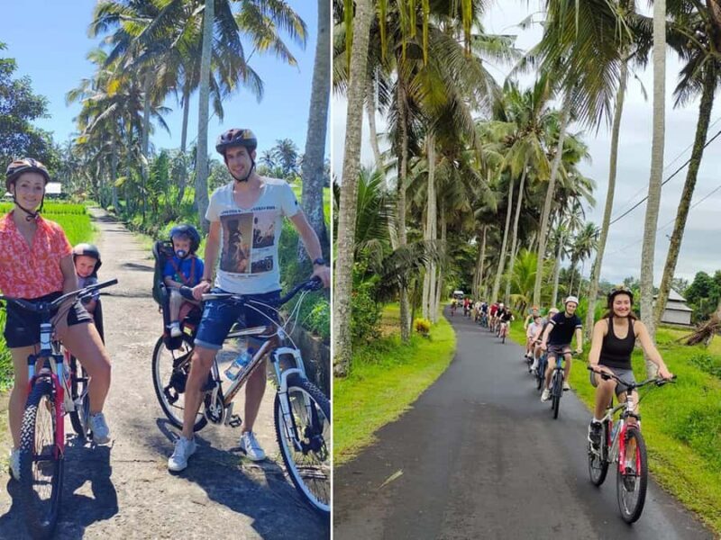 Kintamani to Ubud Downhill Cycling Tour - What to Expect from the Kintamani to Ubud Downhill Cycling Tour