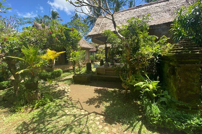 Kintamani Tours with Batur volcano - Practical Tips for Travelers