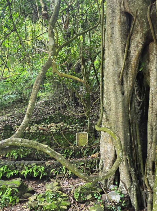 Kintamani: Trunyan Village Cemetery Tour - Frequently Asked Questions