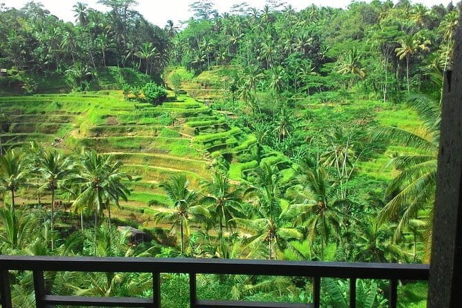 Kintamani Volcano View Tour - Tegalalang Rice Terrace: Bali’s Iconic Landscape