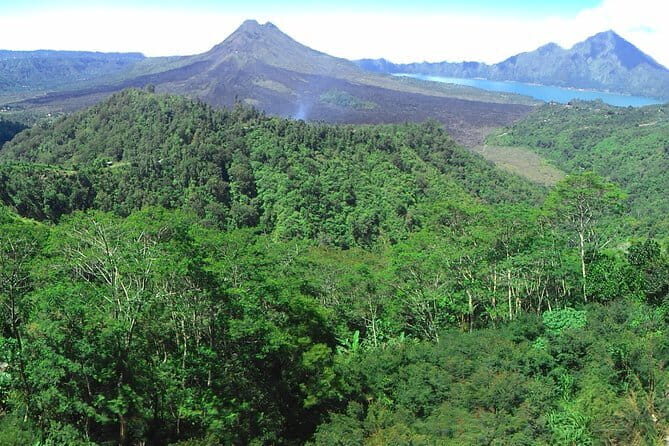 Kintamani Volcano View Tour - Whats Included and Whats Not?