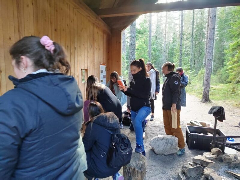 Kintulammi Nature Experience (Nature reserve near Tampere) - A Deeper Look at the Kintulammi Nature Experience