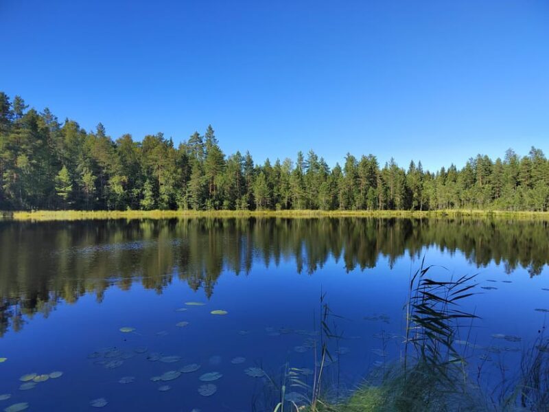 Kintulammi Nature Experience (Nature reserve near Tampere) - Frequently Asked Questions