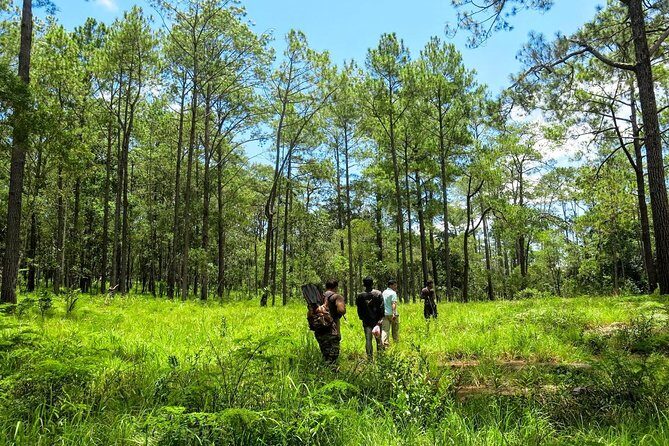 Kirirom National Park Private Day Tour from Phnom Penh - An In-Depth Look at the Kirirom National Park Tour