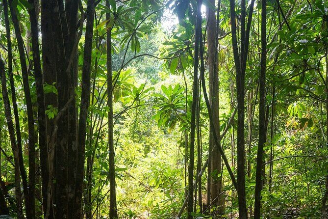 Kirirom National Park Private Day Tour from Phnom Penh - Who Should Consider This Tour?