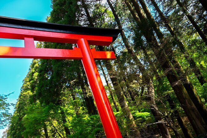 Kirishima Highlights from Kagoshima Port by Private Car - Key Points