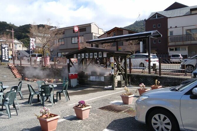 Kirishima Highlights from Kagoshima Port by Private Car - What Makes This Tour Stand Out?