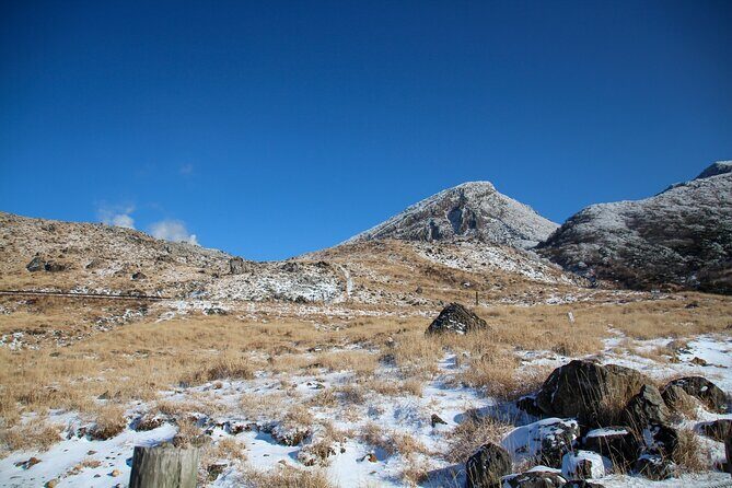 Kirishima Highlights from Kagoshima Port by Private Car - Who Should Consider This Tour?