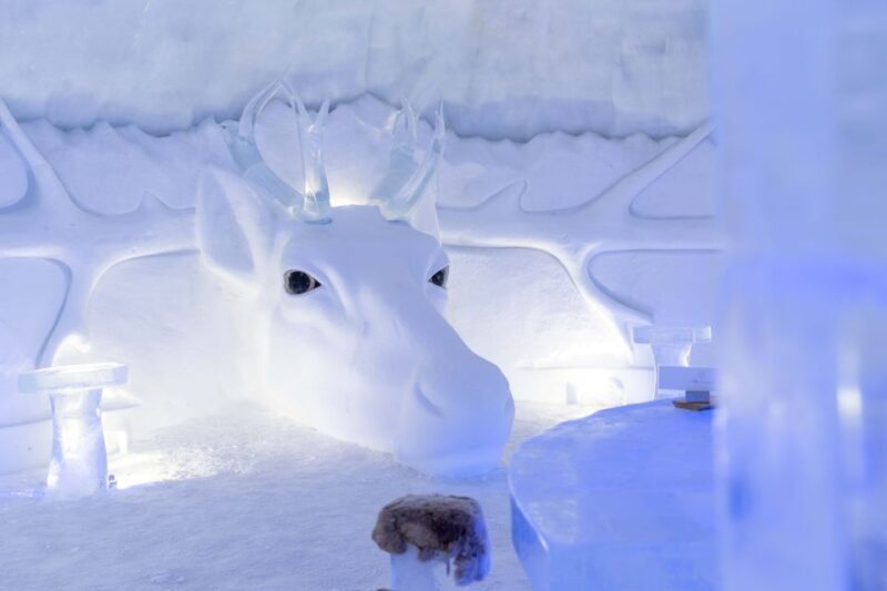 Kirkenes: Snowhotel Entrance Ticket - Summary - Who Is This Tour Best For?