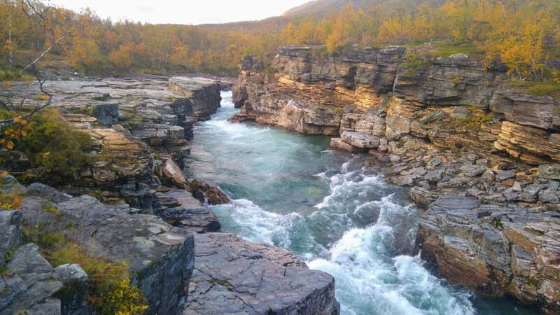 Kiruna: Abisko National Park Guided Day Tour with Lunch - Key Points