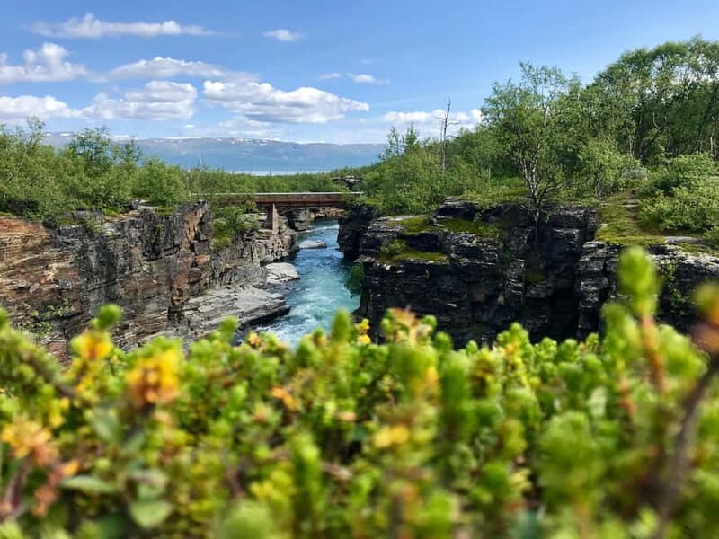 Kiruna: Abisko National Park Guided Day Tour with Lunch - A Deep Dive into the Experience