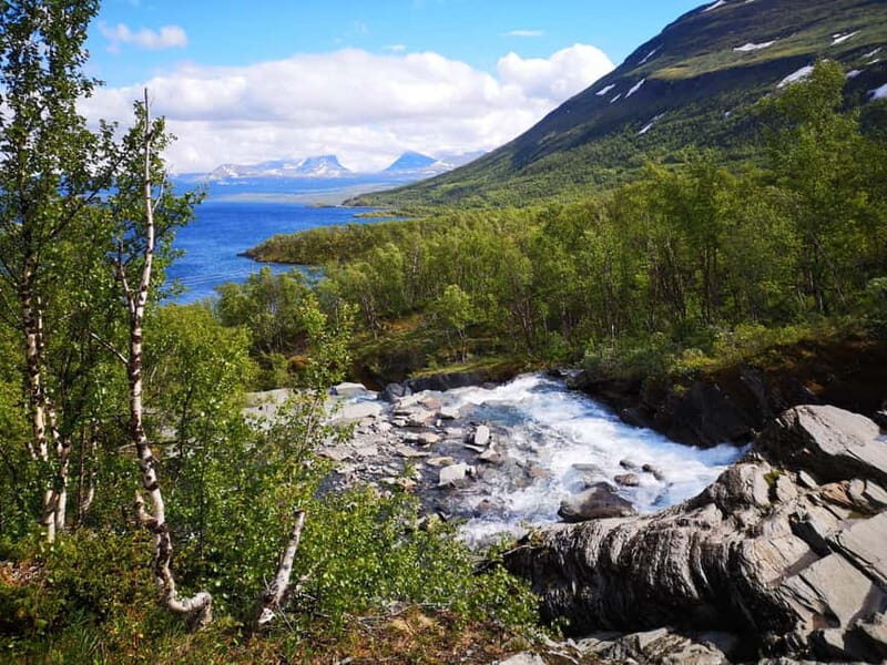 Kiruna: Abisko National Park Guided Day Tour with Lunch - The Sum Up