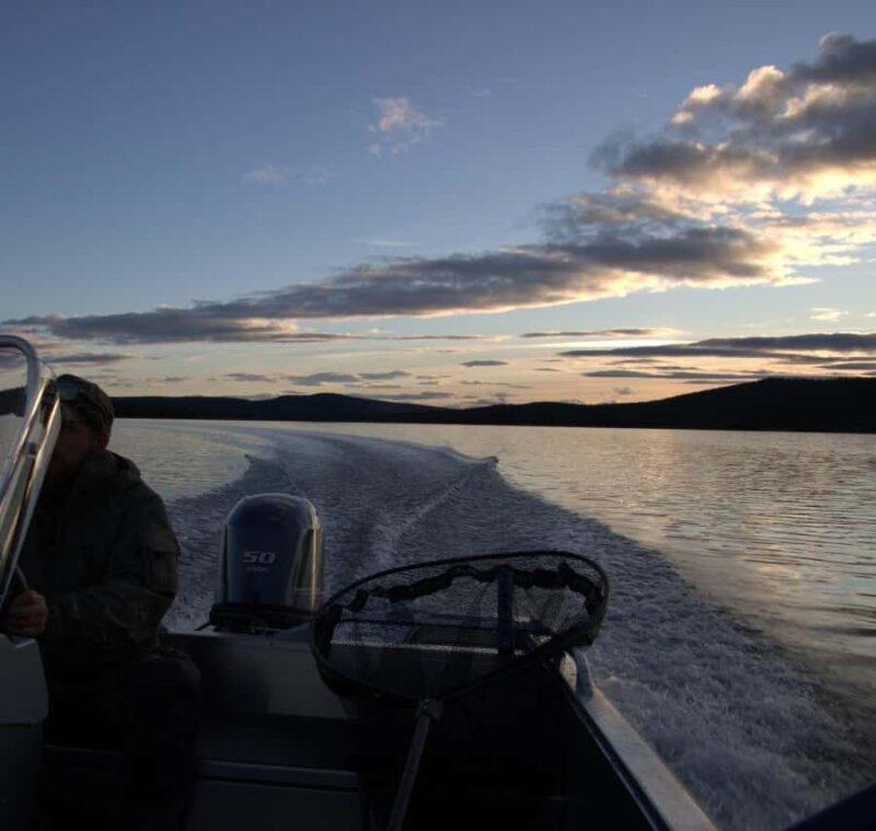 Kiruna: Boat Trip with Coffee and Sandwich - An In-Depth Look at the Kiruna Boat Trip
