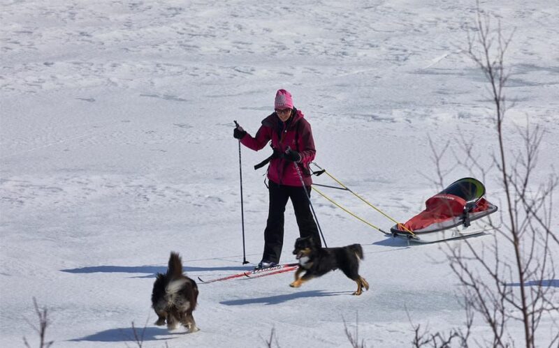 Kiruna: Cross-Country Skiing Tour with a Guide - Exploring the Arctic Snow: What to Expect