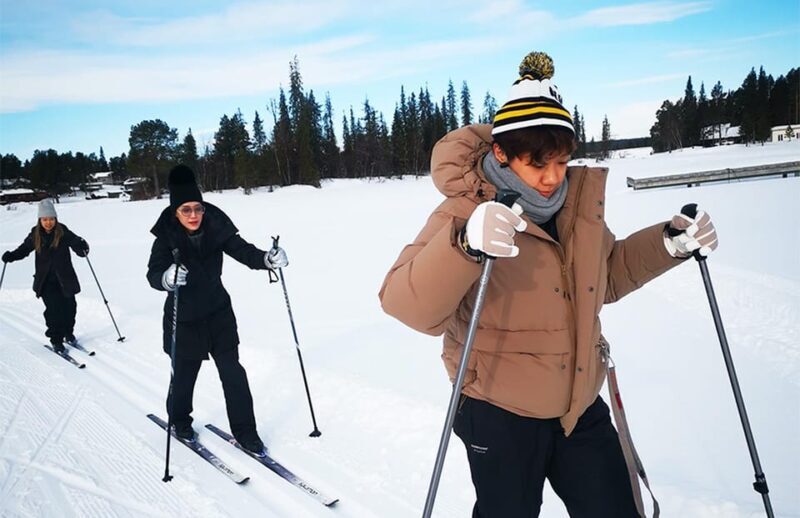 Kiruna: Cross-Country Skiing Tour with a Guide - The Cost and Value