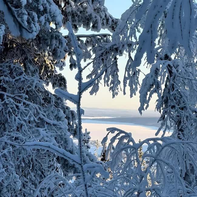 Kiruna: Daytime Snowshoe Hike - Guides and Group Experience