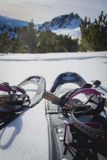 Kiruna: Daytime Snowshoe Hike - Logistics and Price: Is It Worth It?