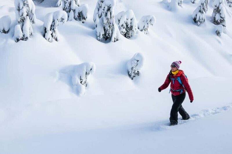 Kiruna: Daytime Snowshoe Hike - Who Will Appreciate This Tour?