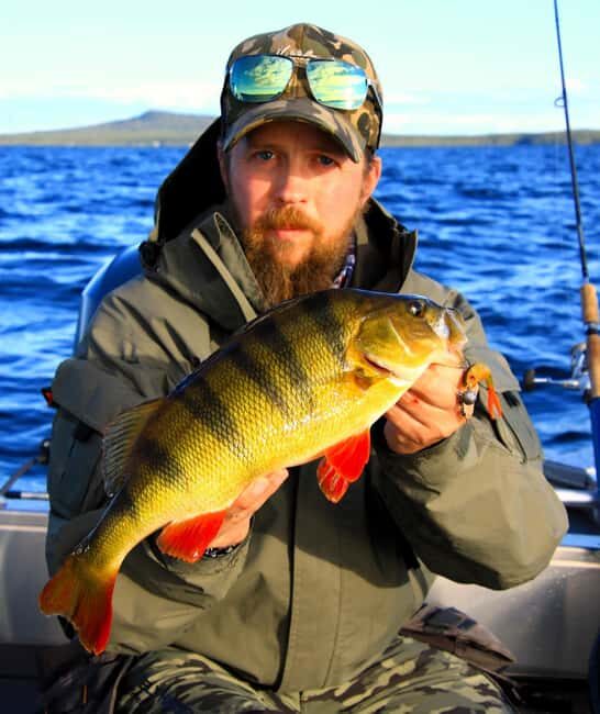 Kiruna: Lapland Fishing Tour with Guide and Gear - The Value of Provided Gear and Licenses