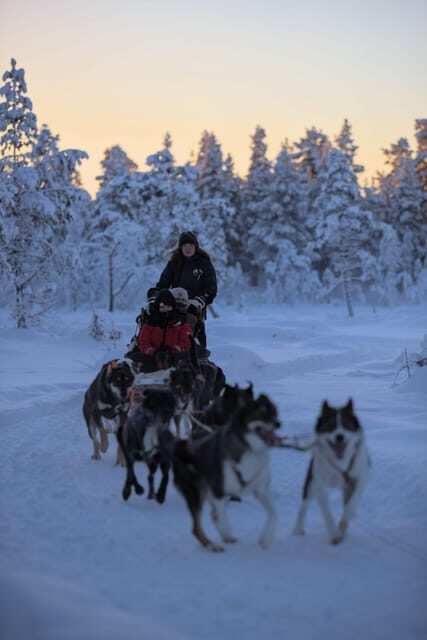 Kiruna: Morning Husky Sled Ride with Coffee Break - Final Thoughts