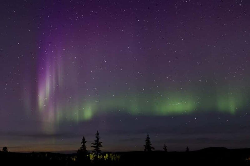 Kiruna: Northern Lights Dog Sled Tour with Swedish Fika - A Closer Look at the Experience