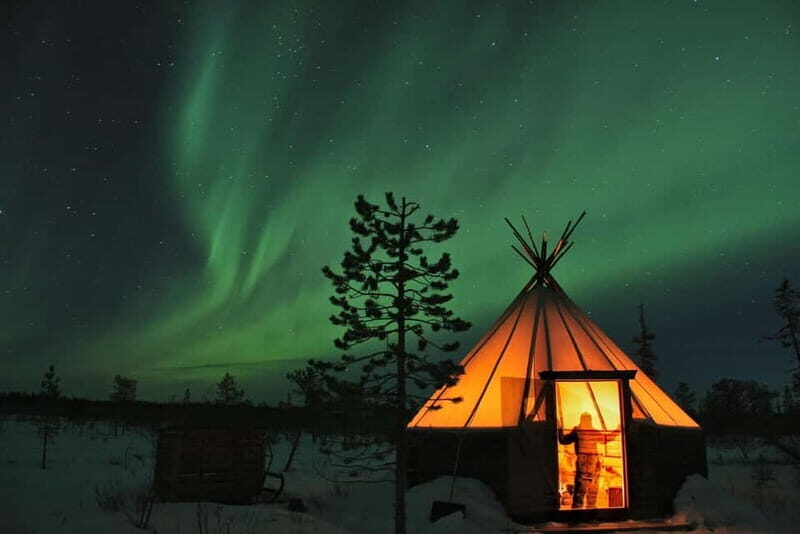 Kiruna: Northern Lights Dog Sled Tour with Swedish Fika - Practical Tips for Travelers