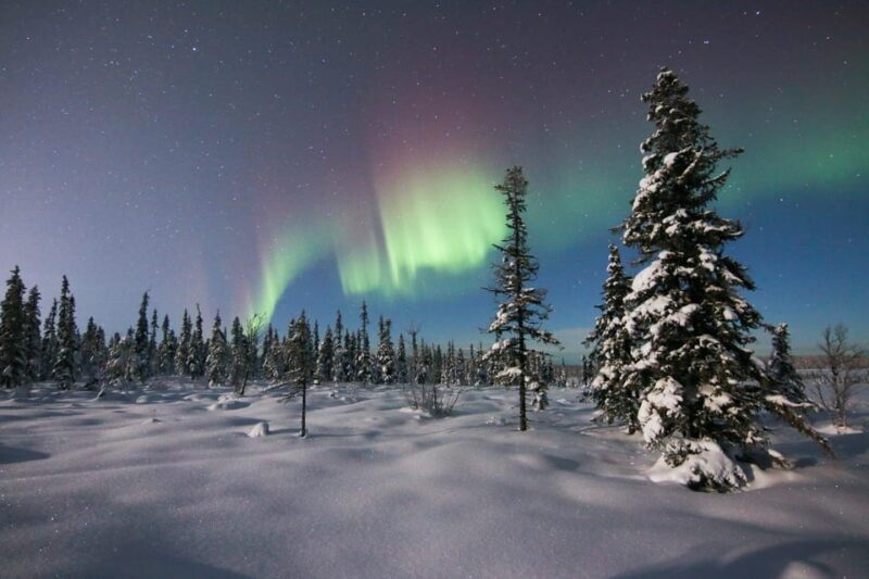 Kiruna: Northern Lights Minivan Chase with Warm Drink - The Value of the Experience