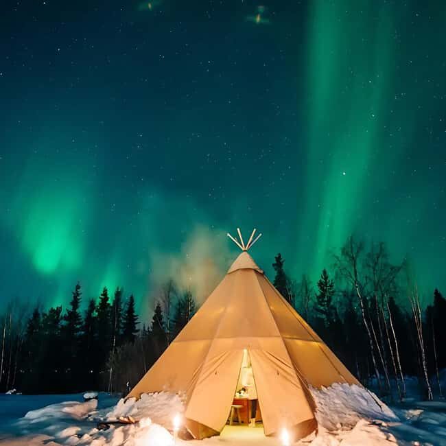 Kiruna: Northern Lights Tour with Sami BBQ Dinner - Who will love this tour?