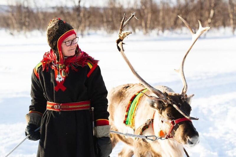 KIRUNA: Sami Reindeer Experience - Traditional Activities: Lassoing and Sledding