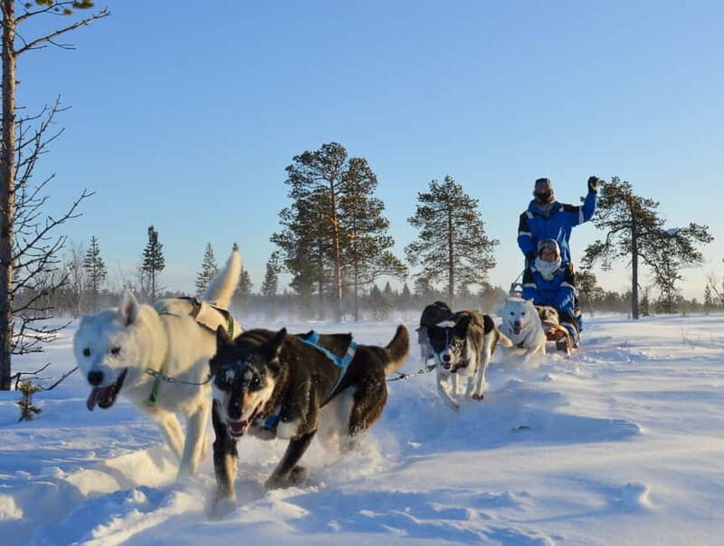 Kiruna: Self-drive Husky Morning Tour - What’s Included and How it All Comes Together