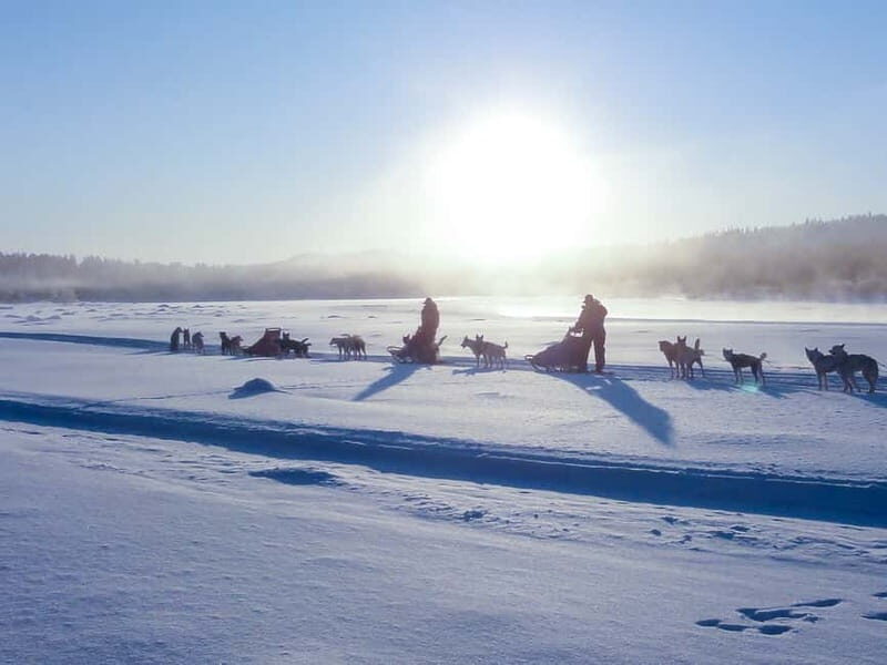 Kiruna: Self-drive Husky Morning Tour - The Adventure: Sledding Across the Swedish Arctic