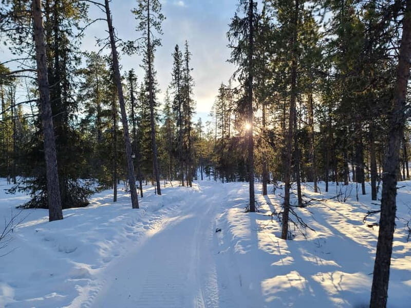 Kiruna: Snowshoe Trek with Warm Beverage and Sandwich - A Clear Snapshot: What to Expect