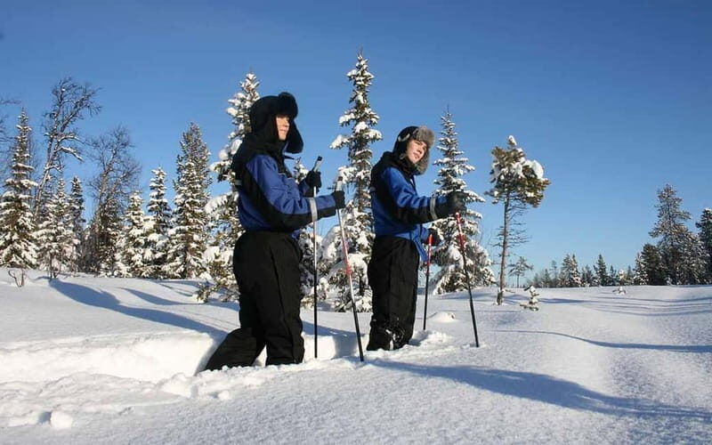 Kiruna: Snowshoe Trek with Warm Beverage and Sandwich - The Itinerary: Step-by-Step