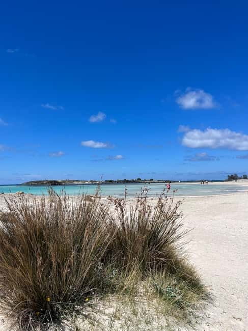 Kissamos: Elafonisi Beach Day Tour by MiniBus - Who Will Love This Tour?