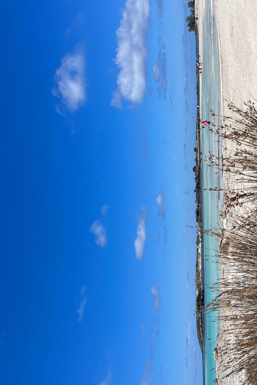 Kissamos: Elafonisi Beach Day Tour by MiniBus - The Sum Up