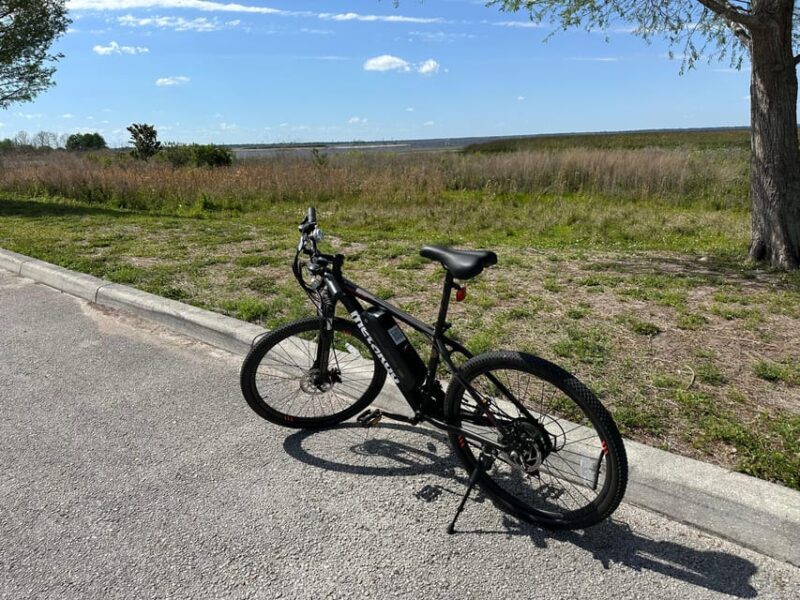 Kissimmee: 4-Hour All Electric Mountain Bike Lakefront Tour - Who Is This Tour Best Suited For?