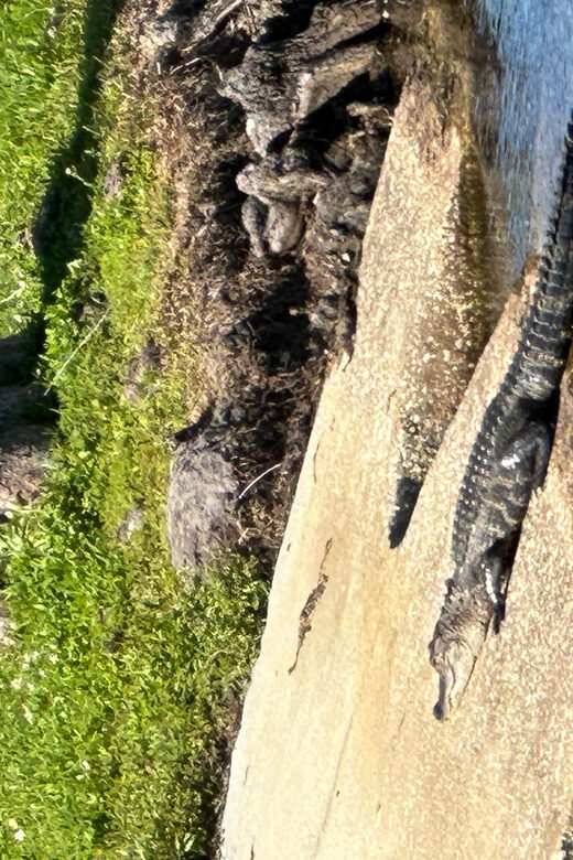Kissimmee: 4-Hour All Electric Mountain Bike Lakefront Tour - Final Thoughts