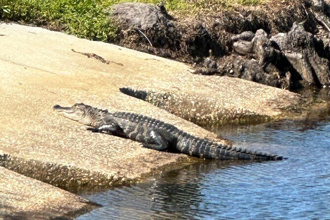 Kissimmee and St. Cloud Beach Tour on All Electric Trike (4 hrs.) - Key Points