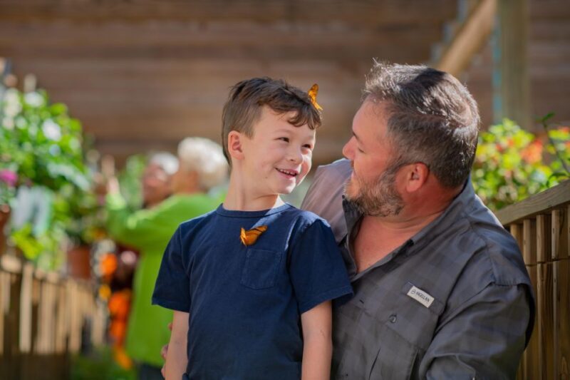 Kissimmee: Boggy Creek Airboat Ride with Optional Meal - The Tour Itinerary in Detail