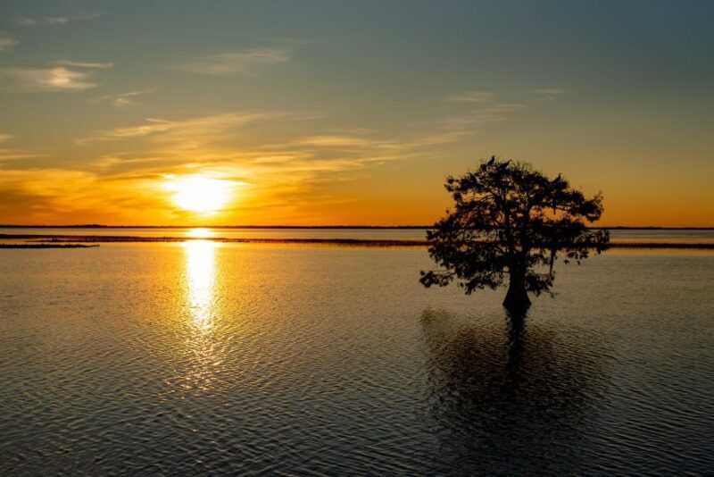 Kissimmee: Boggy Creek Sunset Airboat Tour - Practical Considerations