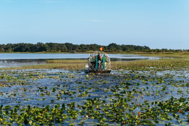 Kissimmee: Everglades Airboat Adventure Tour - An Authentic Look at the Everglades