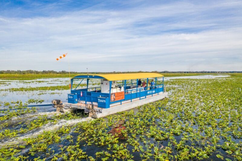 Kissimmee: Florida Everglades Pontoon Boat Tour - Key Points