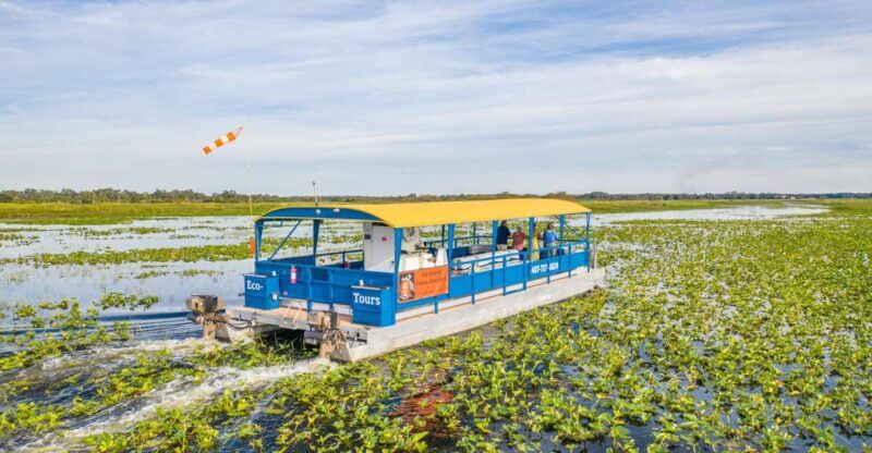 Kissimmee: Florida Everglades Pontoon Boat Tour - Value for Money