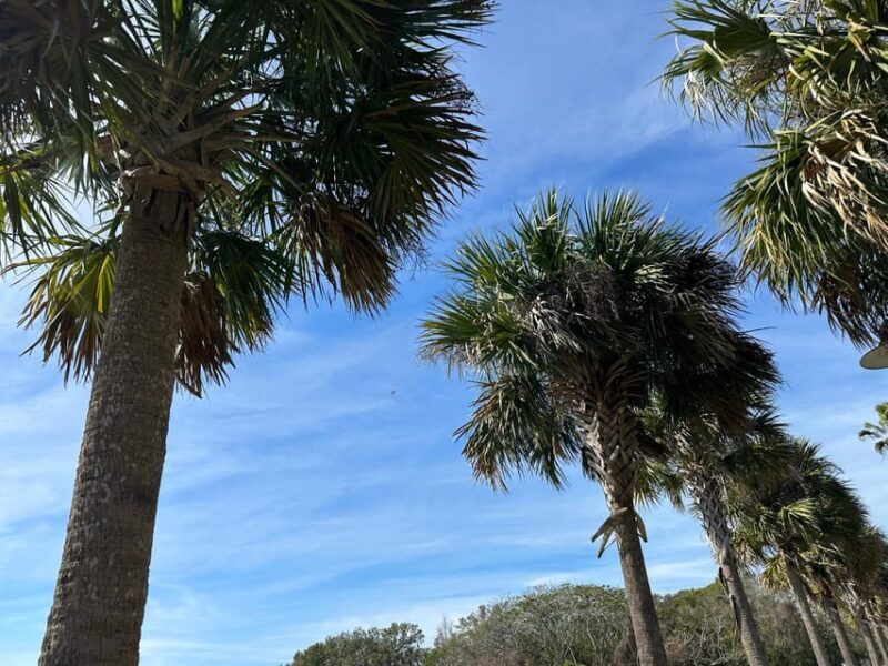 Kissimmee: Self-Guided Lakefront Tour on All Electric Trike - FAQ