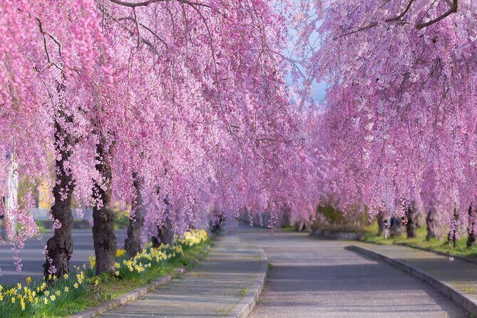 Kitakata Full-Day Private Tour with Government-Licensed Guide - Final Thoughts: Who Should Consider This Tour?