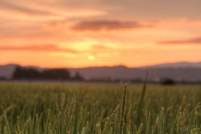 Kitakata Full-Day Private Tour with Government-Licensed Guide - FAQs