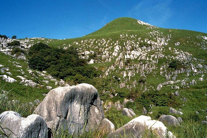 Kitakyushu Full-Day Private Trip with Government-Licensed Guide - Frequently Asked Questions