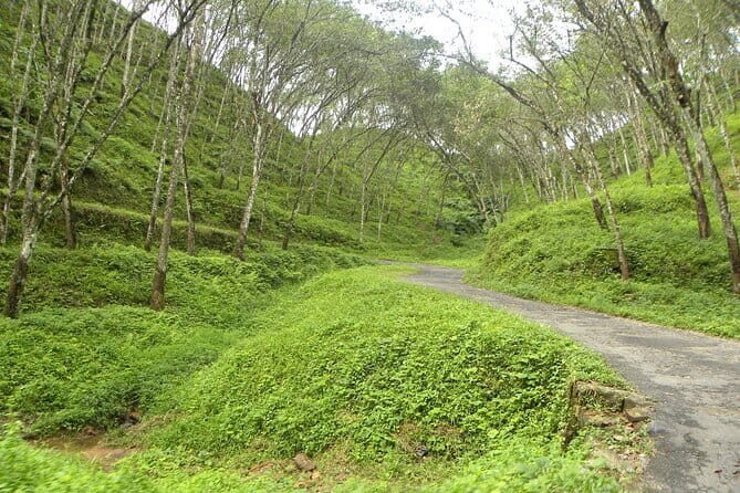 Kithulgala Belilena Cave Tour from Colombo - A Deep Dive into the Tour Experience