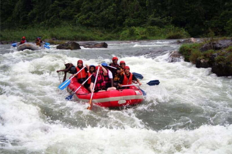 Kithulgala:White Water Rafting Adventure Day Tour From Kandy - Key Points